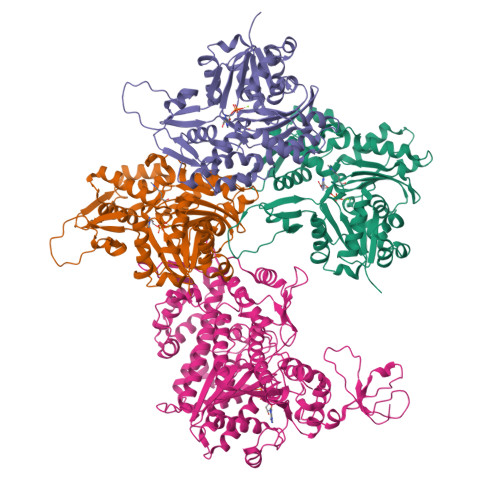 RCSB PDB - 9DFV: Structure of canonical Myo7a-C isoform (ADP-bound ...