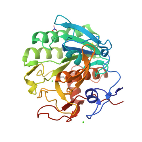 RCSB PDB - 9DHO: Structure of proteinase K from energy-filtered MicroED ...