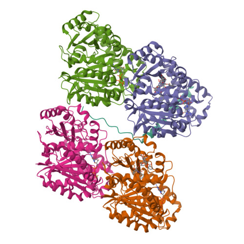 RCSB PDB - 9DHZ: Cryo-EM structure of HURP bound to a microtubule