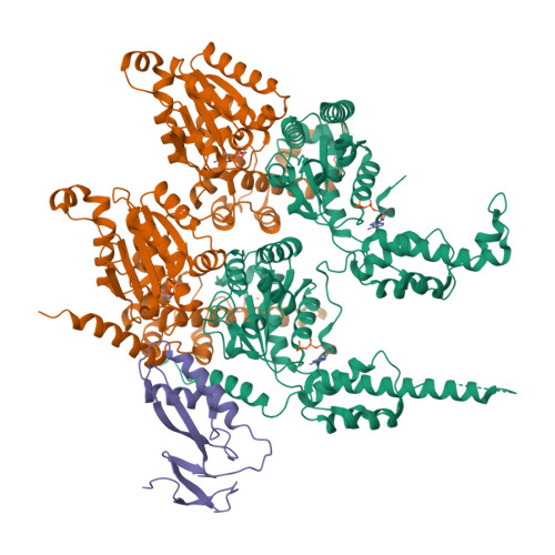 RCSB PDB - 9DIL: Cryo-EM structure of VCP/p97 in complex with VCPIP1 ...