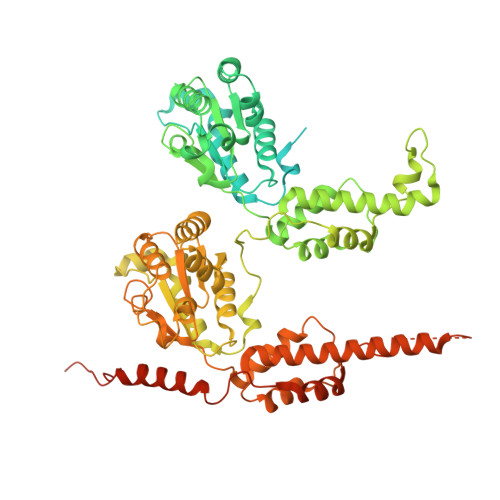 RCSB PDB - 9DIL: Cryo-EM structure of VCP/p97 in complex with VCPIP1 ...