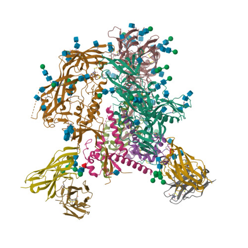RCSB PDB - 9DIM: Q23.MD39 in Complex with Fab from antibody 35O22