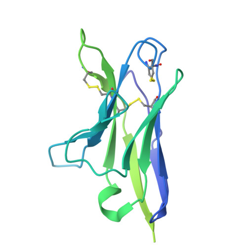 RCSB PDB - 9DIM: Q23.MD39 in Complex with Fab from antibody 35O22