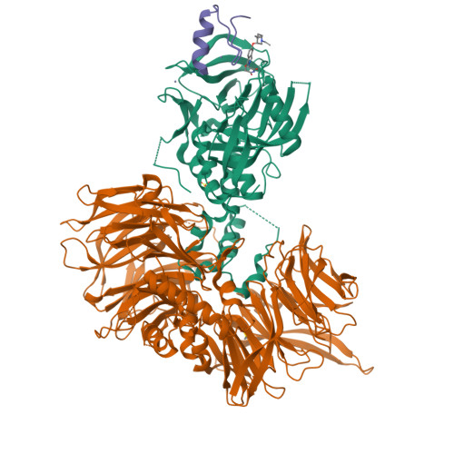 RCSB PDB - 9DJT: Ternary complex structure of Cereblon-DDB1 bound to ...