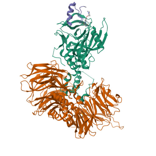 RCSB PDB - 9DJX: Ternary complex structure of Cereblon-DDB1 bound to ...