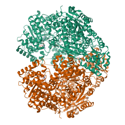 RCSB PDB - 9DL4: Structure of proline utilization A complexed with 2 ...