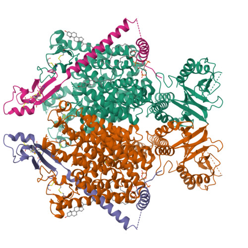 RCSB PDB - 9DNX: Human ClC-3:TMEM9, TMEM9 Protomer A and B: Complete