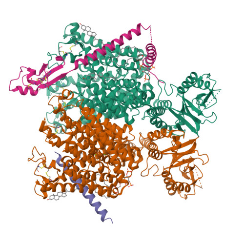 RCSB PDB - 9DNZ: Human ClC-3:TMEM9, TMEM9 Protomer A: Complete, TMEM9 ...