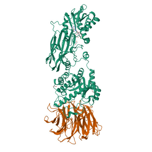 RCSB PDB - 9DOD: Crystal structure of PRMT5:MEP50 in complex with PRT543