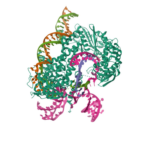 RCSB PDB - 9DOU: Taeniopygia guttata R2 retrotransposon (R2Tg ...