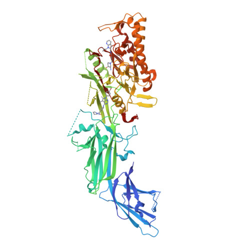 RCSB PDB - 9DPZ: Potent inhibition of the protein arginine deiminases ...