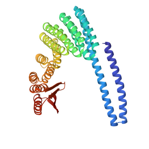 RCSB PDB - 9DRL: Cryo-EM structure of the T33-549 tetrahedral cage