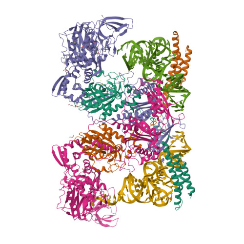 RCSB PDB - 9DRT: Crystal structure of the complex of M. tuberculosis ...