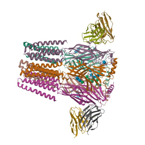 RCSB PDB - 9DRX: Human GABAA receptor of beta2-alpha1-beta2-alpha1 ...