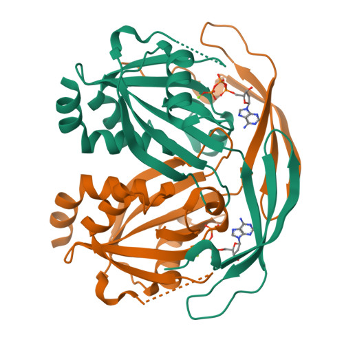 RCSB PDB - 9DSZ: Crystal structure of ADP-ribose diphosphatase from ...