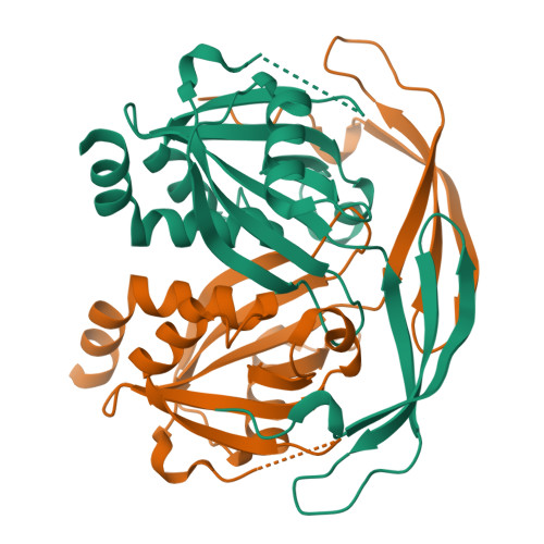 RCSB PDB - 9DT6: Crystal structure of ADP-ribose diphosphatase from ...