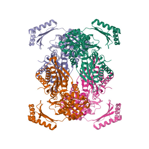 RCSB PDB - 9DU5: Cryo-EM structure of phosphoglucomutase from ...