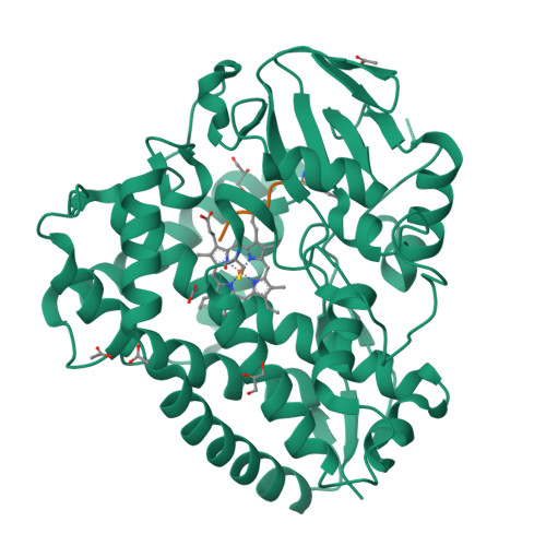 RCSB PDB - 9DUJ: Crystal structure of RufO in complex with (Nle)RYLH