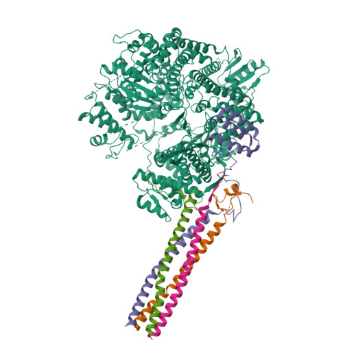 RCSB PDB - 9DUS: Cryo-EM structure of the Measles Virus polymerase (L ...