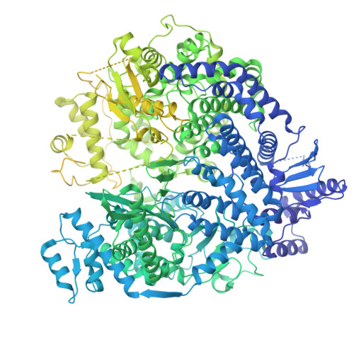 Rcsb Pdb 9dus Cryo Em Structure Of The Measles Virus Polymerase L Protein In Complex With