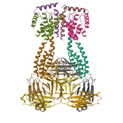 RCSB PDB - 9DVB: Thermus thermophilus MreC-MreD complex with an ...