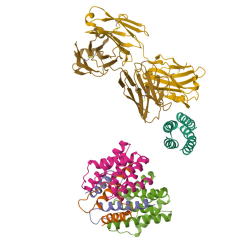 RCSB PDB - 9DVC: Thermus thermophilus MreC-MreD complex with a C ...