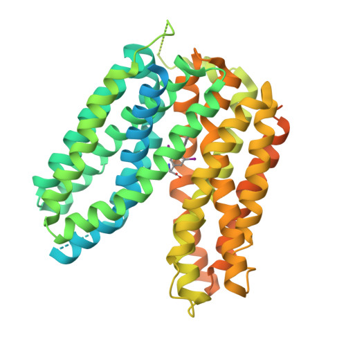 RCSB PDB - 9DWY: Cryo-EM structure of human MCT8 in complex with ...