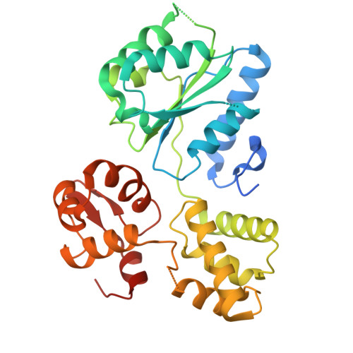 RCSB PDB - 9DX5: EcRuvB T102R hexamer assembly