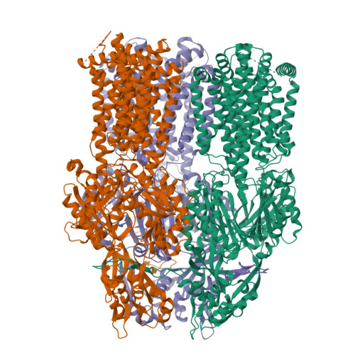 RCSB PDB - 9DXN: Structure of AcrB in the form of Native cell membrane ...
