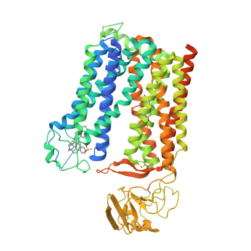 RCSB PDB - 9DXO: Cryo-EM structure of human OATP1C1 F240A mutant in ...