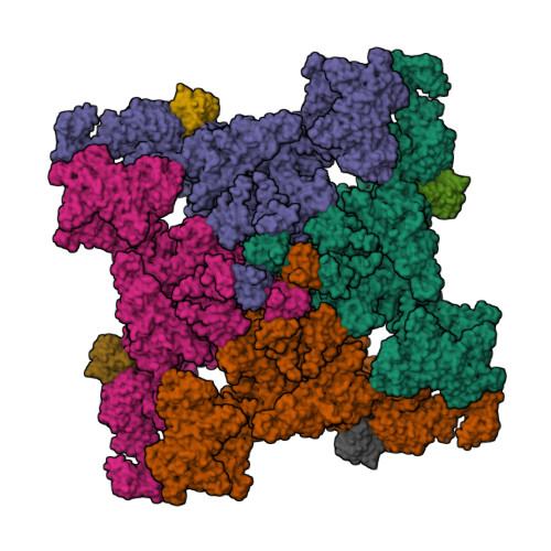 RCSB PDB - 9E1A: Structure of RyR1 in the primed state in the presence ...