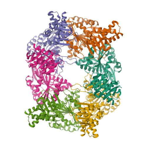 RCSB PDB - 9E25: Compact structure of CpaF without nucleotides (Apo ...