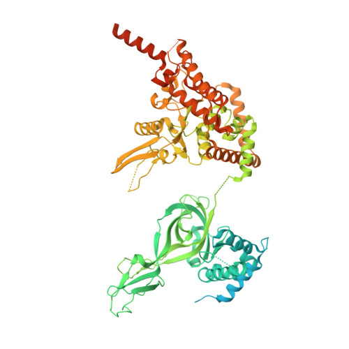 RCSB PDB - 9E2Z: Cryo-EM structure of human CMG helicase stalled at G4 ...