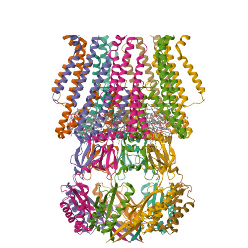 RCSB PDB - 9E64: Cryo-EM structure of mechanosensitive channel YnaI in ...