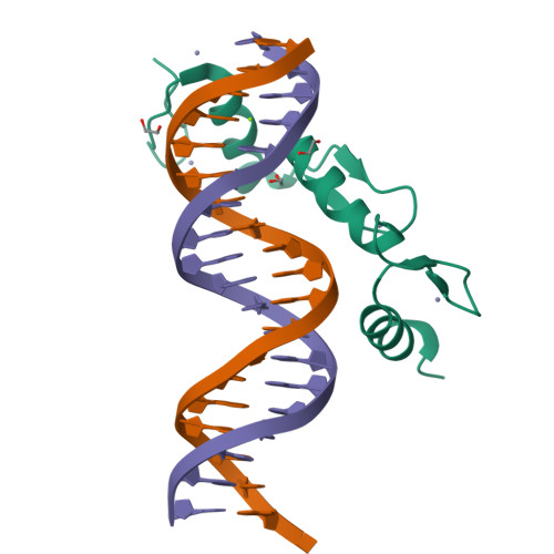 RCSB PDB - 9E6R: BCL11A ZF4-6 in Complex with a DNA Sequence Observed ...