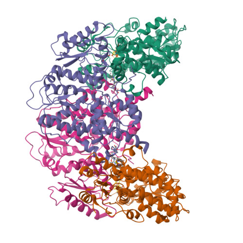 RCSB PDB - 9E7H: CryoEM structure of BchN-BchB bound to Pchlide from ...