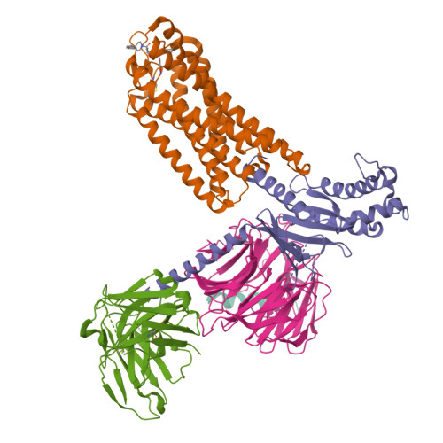 RCSB PDB - 9E7R: CryoEM structure of PAR2 with GB88