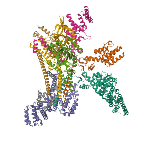 RCSB PDB - 9E81: Cryo-EM structure of COP9 signalosome in complex with ...