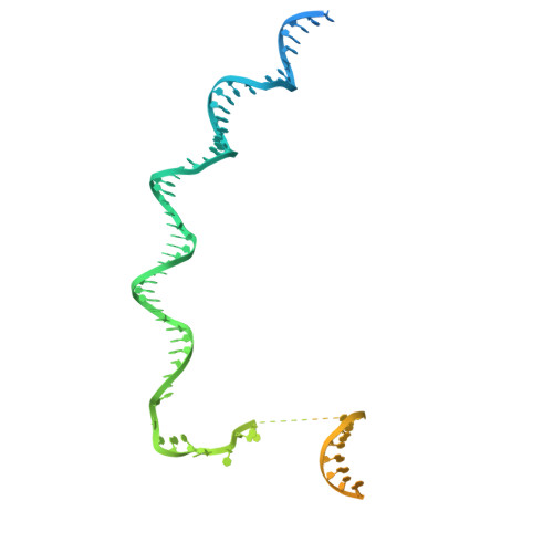 RCSB PDB - 9E87: De Novo Mycobacterium tuberculosis transcription ...