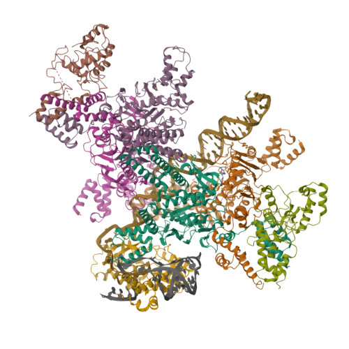 RCSB PDB - 9E8Z: 4-component structure of retron Ec83