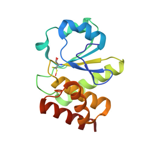 RCSB PDB - 9E9M: Ligand Free Putative Ancestral Protein Tyrosine Phosphatase ShufPTP - C93 ...
