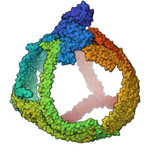 RCSB PDB - 9EA7: The Structure of ApoB100 from Human Low-Density ...