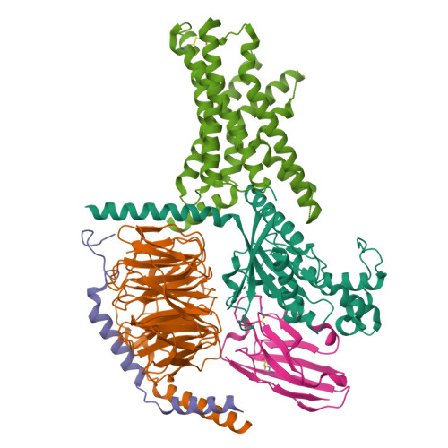 RCSB PDB - 9EBN: Peptide 1 (GLP-1 (Aib16, ACPC18)) bound to GLP-1R/Gs ...