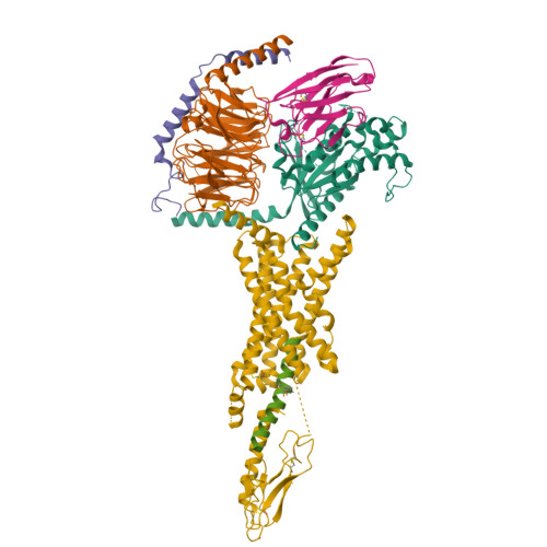RCSB PDB - 9EBO: Peptide 2 (GLP-1 (ACPC18)) bound to GLP-1R/Gs complex ...