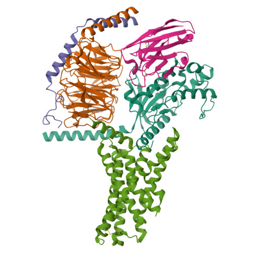 RCSB PDB - 9EBQ: Peptide 2 (GLP-1 (ACPC18)) bound to GLP-1R/Gs complex ...