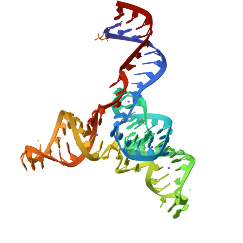 RCSB PDB - 9EBV: Structure of the Bacillus subtilis yjdF riboswitch ...