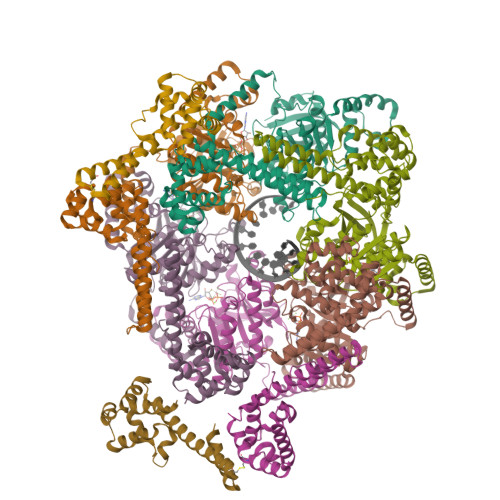 RCSB PDB - 9ECO: E. coli DnaB bound to three DnaG C-terminal domains ...