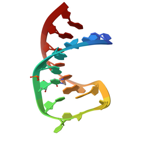 RCSB PDB - 9ECR: NMR solution structure of tRNA-Arg-UCU-4-1 anticodon ...