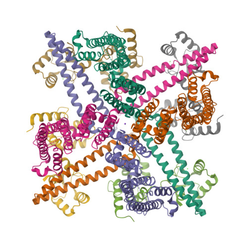 RCSB PDB - 9ED1: Cryo-EM structure of the human KCa3.1/calmodulin ...