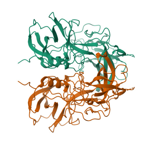 RCSB PDB - 9EDP: GVIII-Chiba040502 norovirus protruding domain